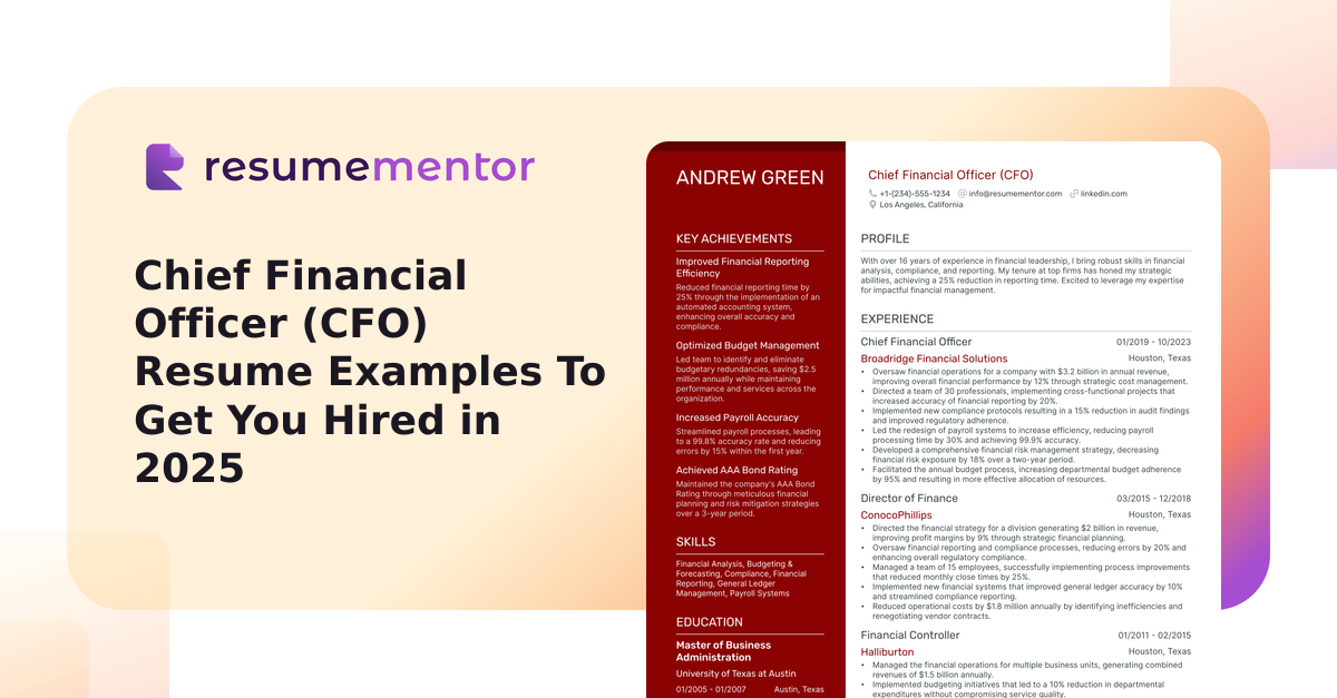 Chief Financial Officer Resume